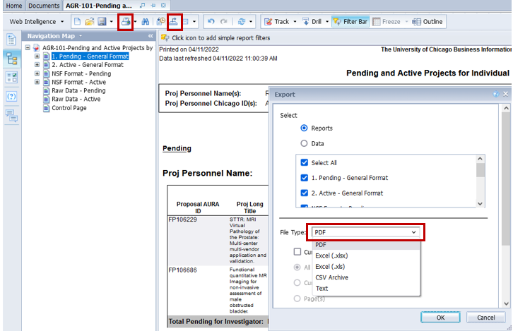 IT Services Knowledge - Print Business Objects Launch Pad Reports ...